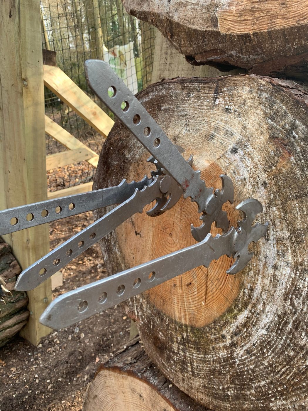 Dorset Archery, Axe Throwing & Crossbows | Insight Activities