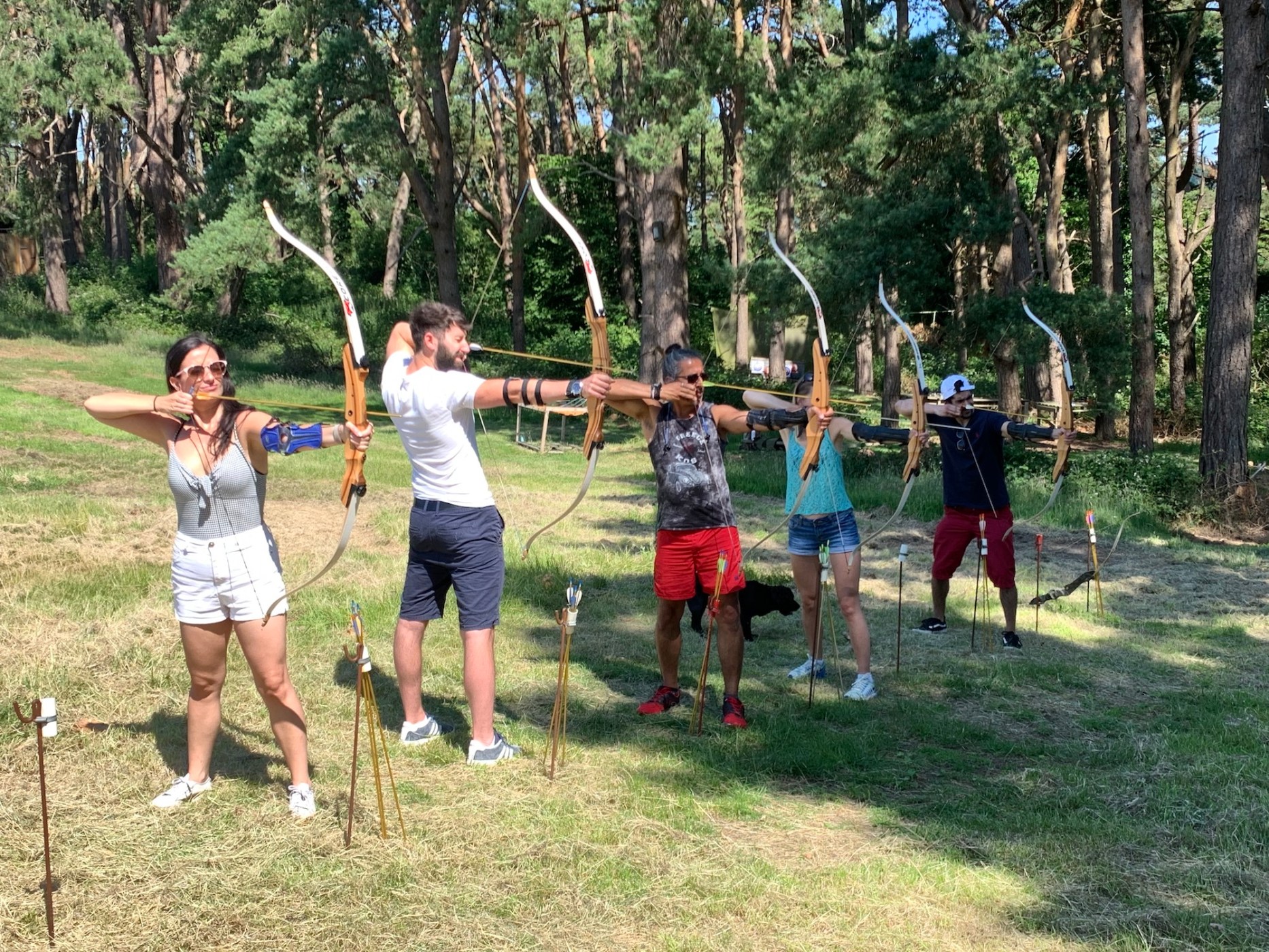 New Forest Archery | Insight Activities